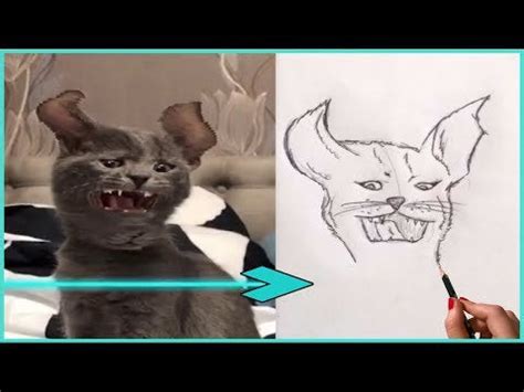 Image result for Time Warp Scan Pets