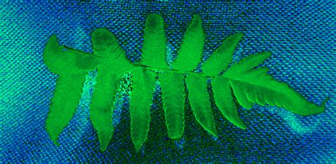 Image result for K-Means Clustering Java