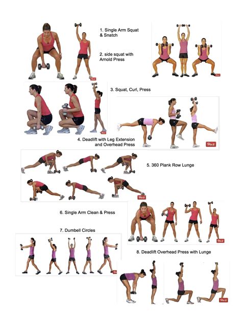 Image result for Exercise Workout Plan