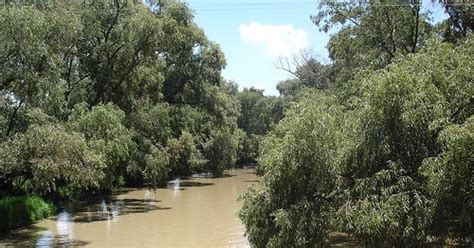 Image result for Explicacion Del Flumejava