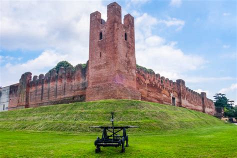 Image result for Catapult Example