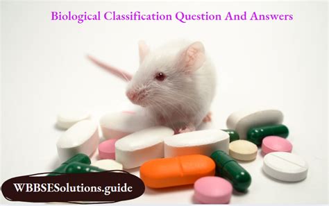 Image result for Biological Classification Answer Key