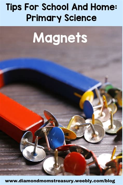 Image result for Grade School Science Activity