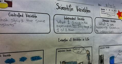 Image result for Variables Science Project Examples