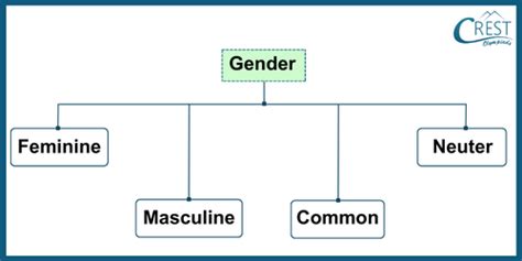 Image result for Howmany Types of Gender