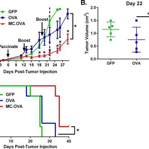 Image result for MySQL OVA