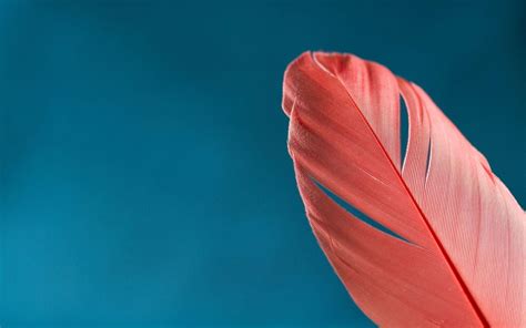 Image result for Nice Program Background