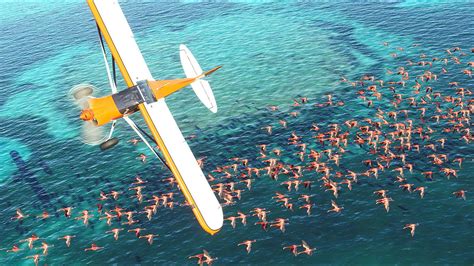 Image result for Flight Simulator Version 1