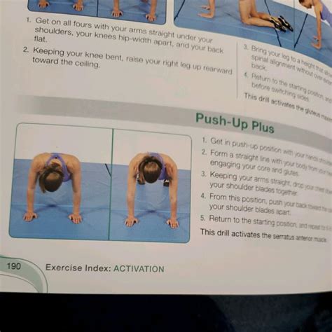 Image result for Push-Up Plus Exercise