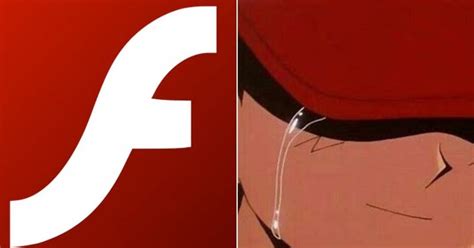 Image result for Flash Software