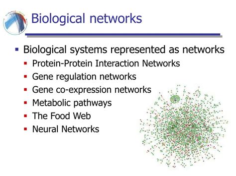 Image result for Complex Networks Class