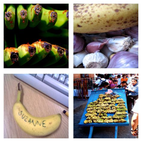 Image result for Code Metadata