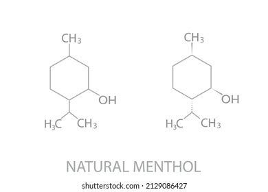 Image result for Menthol Skeletal Structure