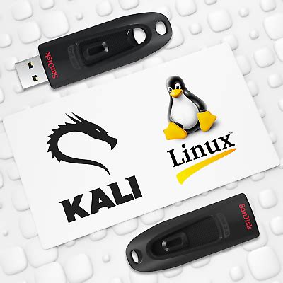 Image result for Kali Linux Live USB