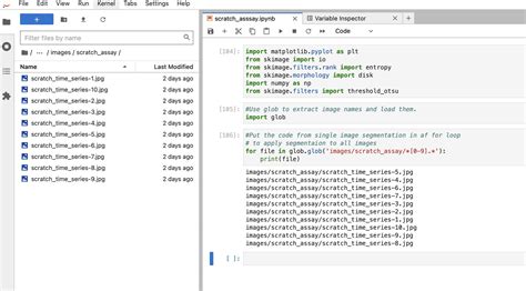 Image result for Python JPEG File