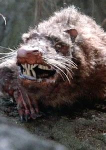 Image result for Rat Tthing From Princess Bride