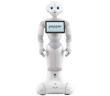 Image result for Pepper Robot Object