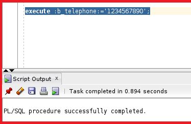 Image result for Oracle Procedure Examples