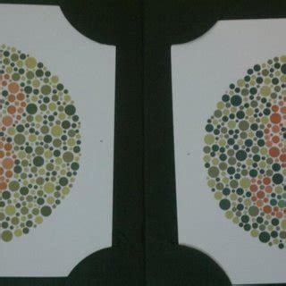 Image result for Hrr Color Vision Test