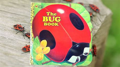 Image result for Read Aloud Insect Alphabet Book