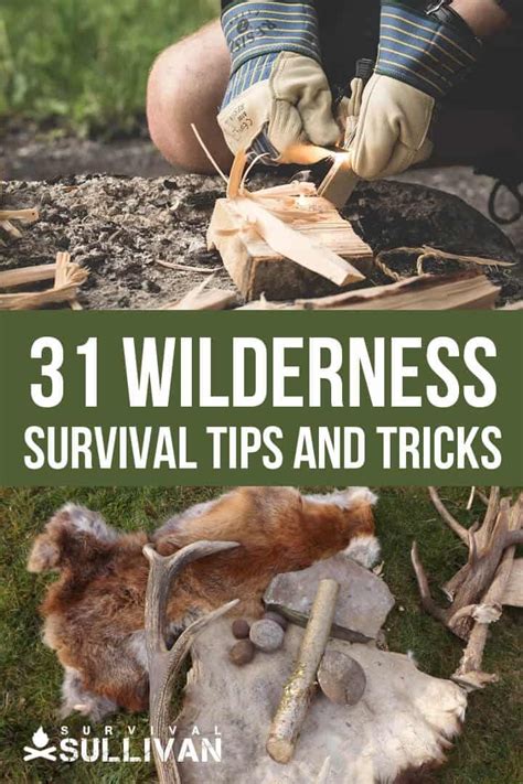 Image result for Survival Game Tips