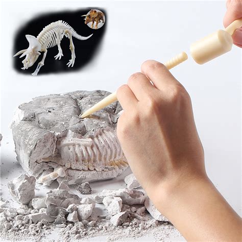 Image result for Fossil Digging