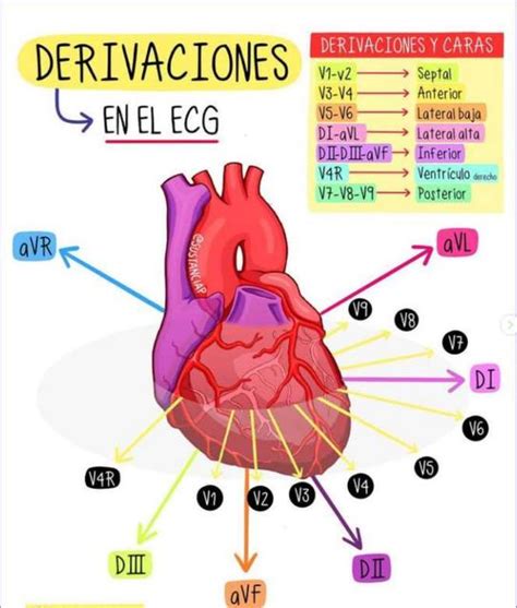 Image result for ECG 12 Derivaciones Normal