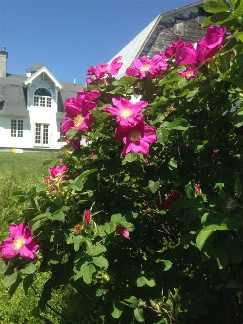 Image result for Craft Life Tutorials