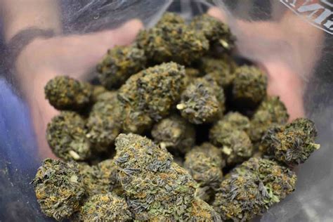 Image result for How to Make Tar Hash Hash