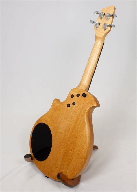 Image result for 4 String Mandolin