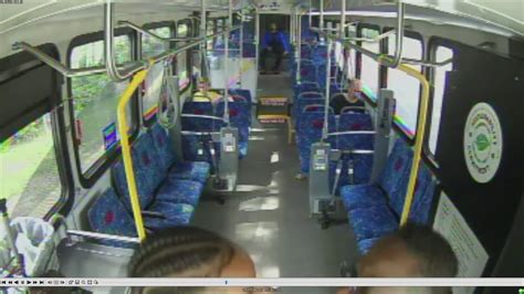 Image result for Transit Bus Fight