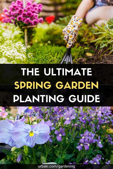 Image result for Spring Garden Planting