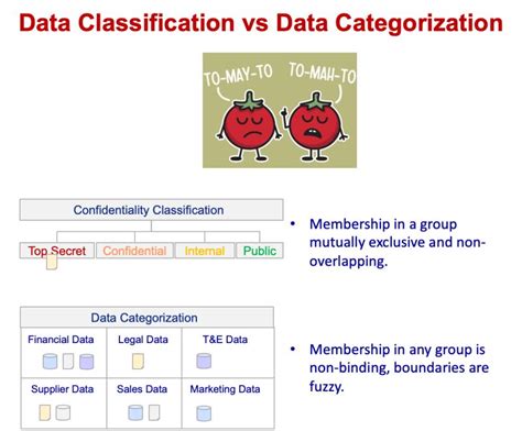 Image result for Classification vs Categorization