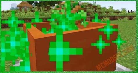 Image result for Minecraft Botany