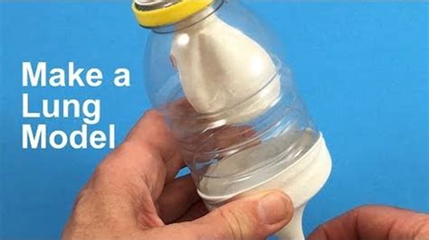 Image result for Modeling Water Scene