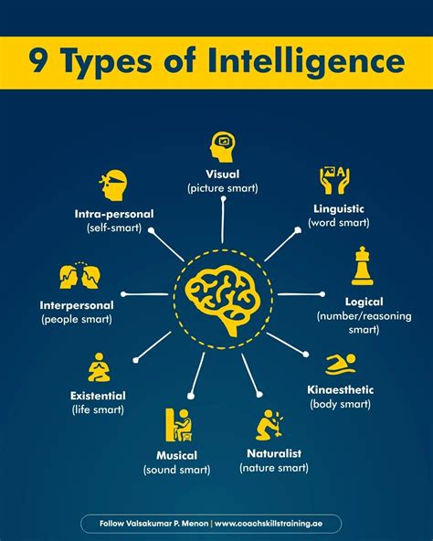 Image result for Different Types of Intelligence