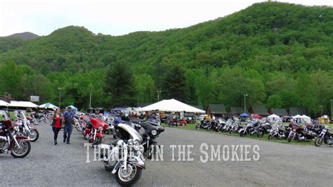 Image result for Spring Rally Paper