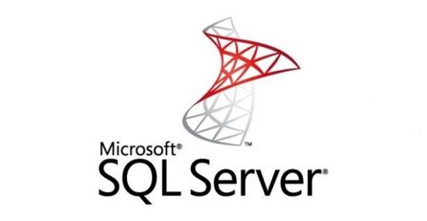 Image result for Microsoft SQL Server with Spatial Extensions Logo
