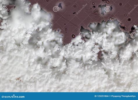 Image result for Polymer Powder Compound Chemistry