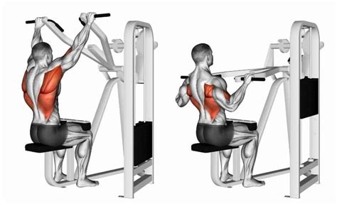 Image result for Upper Inner Back Exercises