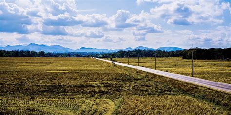 Image result for Tropical Climate Temperature Range