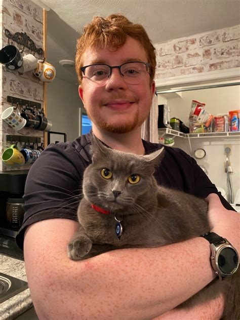 Image result for Dusty Springfield LED Zeppelin