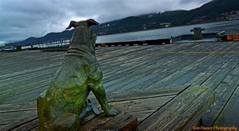 Image result for Patsy Ann