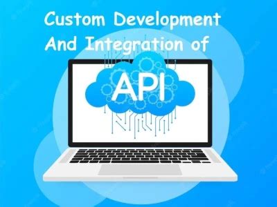 Image result for Custom API Development Example