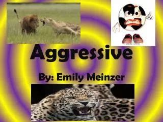 Image result for Management of Aggressive Behavior