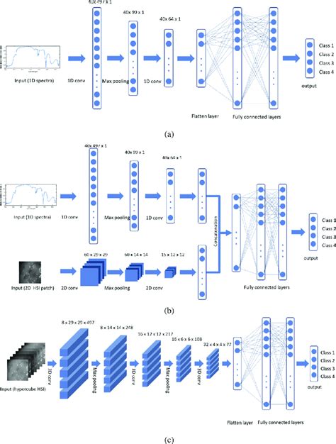 Image result for Tissue Classification Neural Network