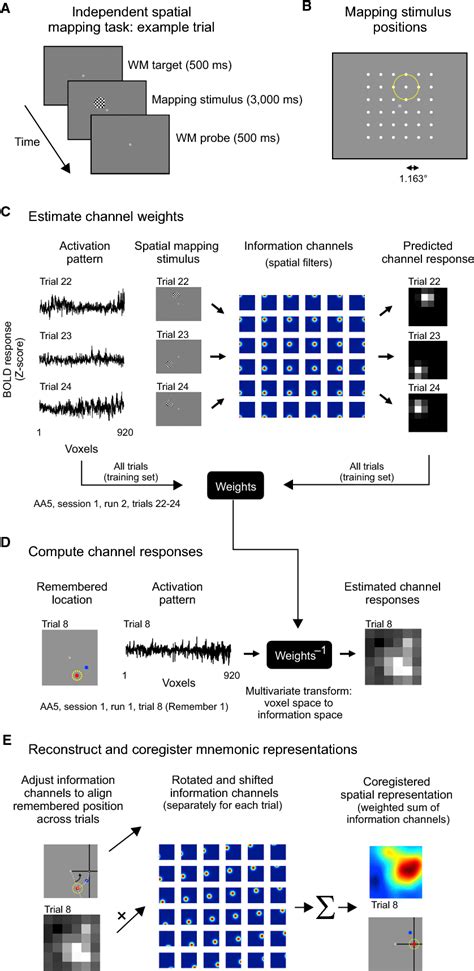 Image result for What Is Visual Spatial Memory