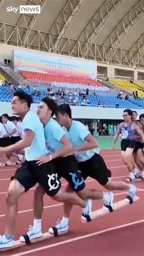 Image result for Silly Python