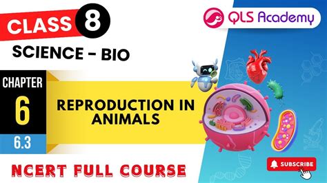 Image result for Reproduction in Humans Class 8