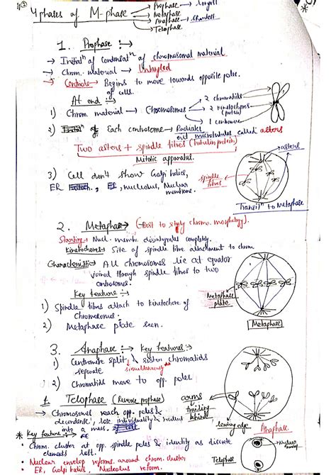 Image result for Cell Class 11 Notes